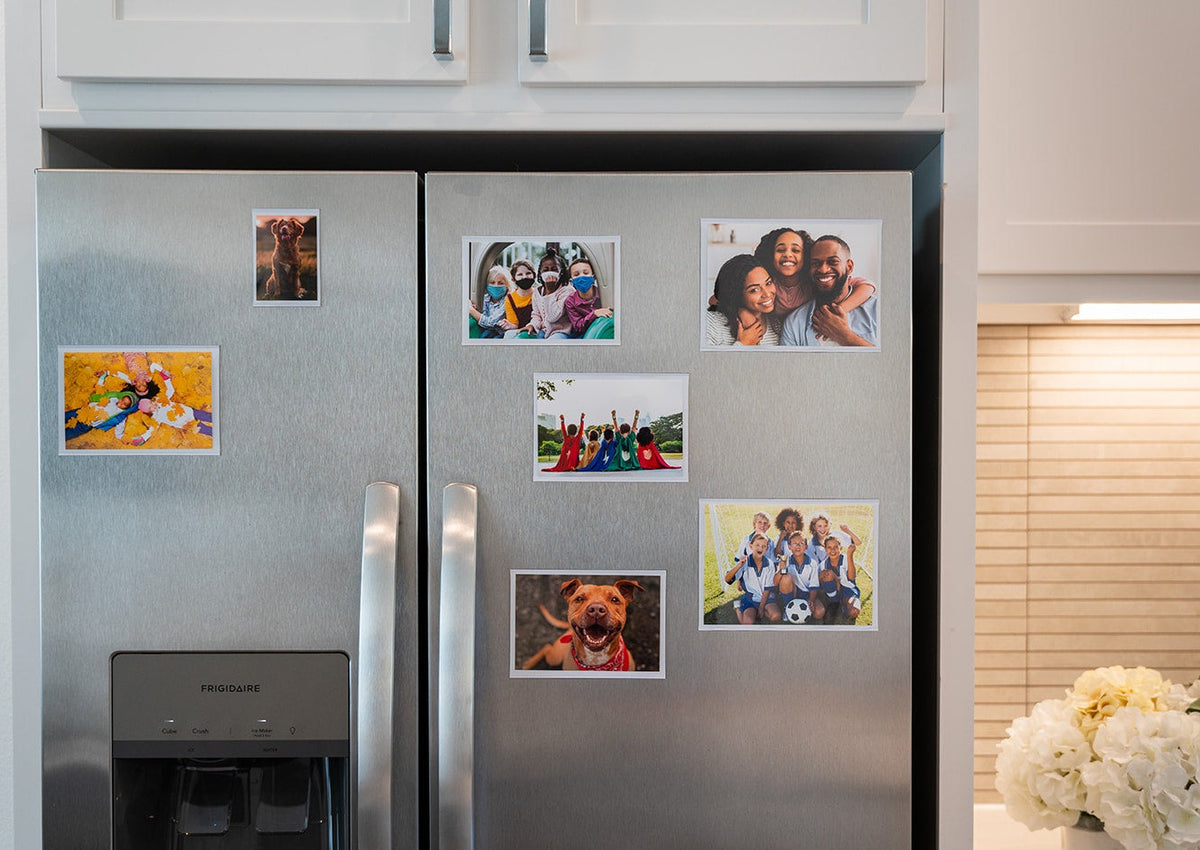 Magnetic Photo Pocket Variety Pack (7 or 14 Pack)| Magtech
